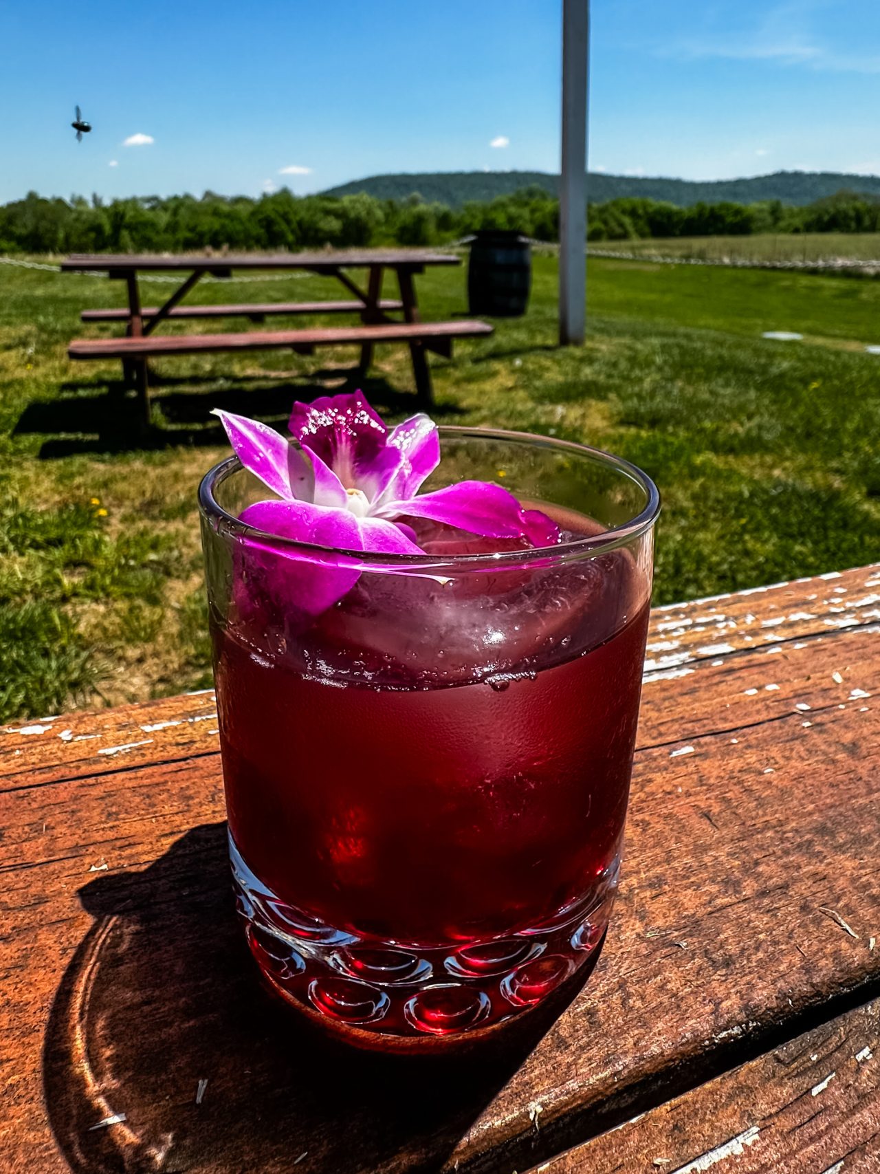 Flying Ace Farm - Lovettesville VA - Spirits and Beers